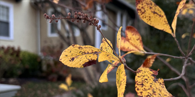 PRA - Nature Prescribed